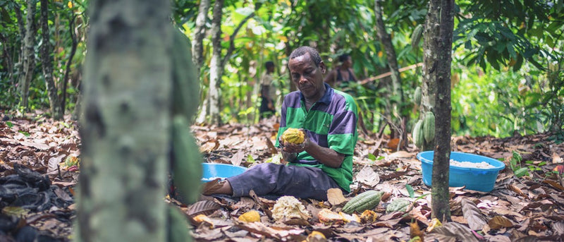 Farmers – Latitude Craft Chocolate